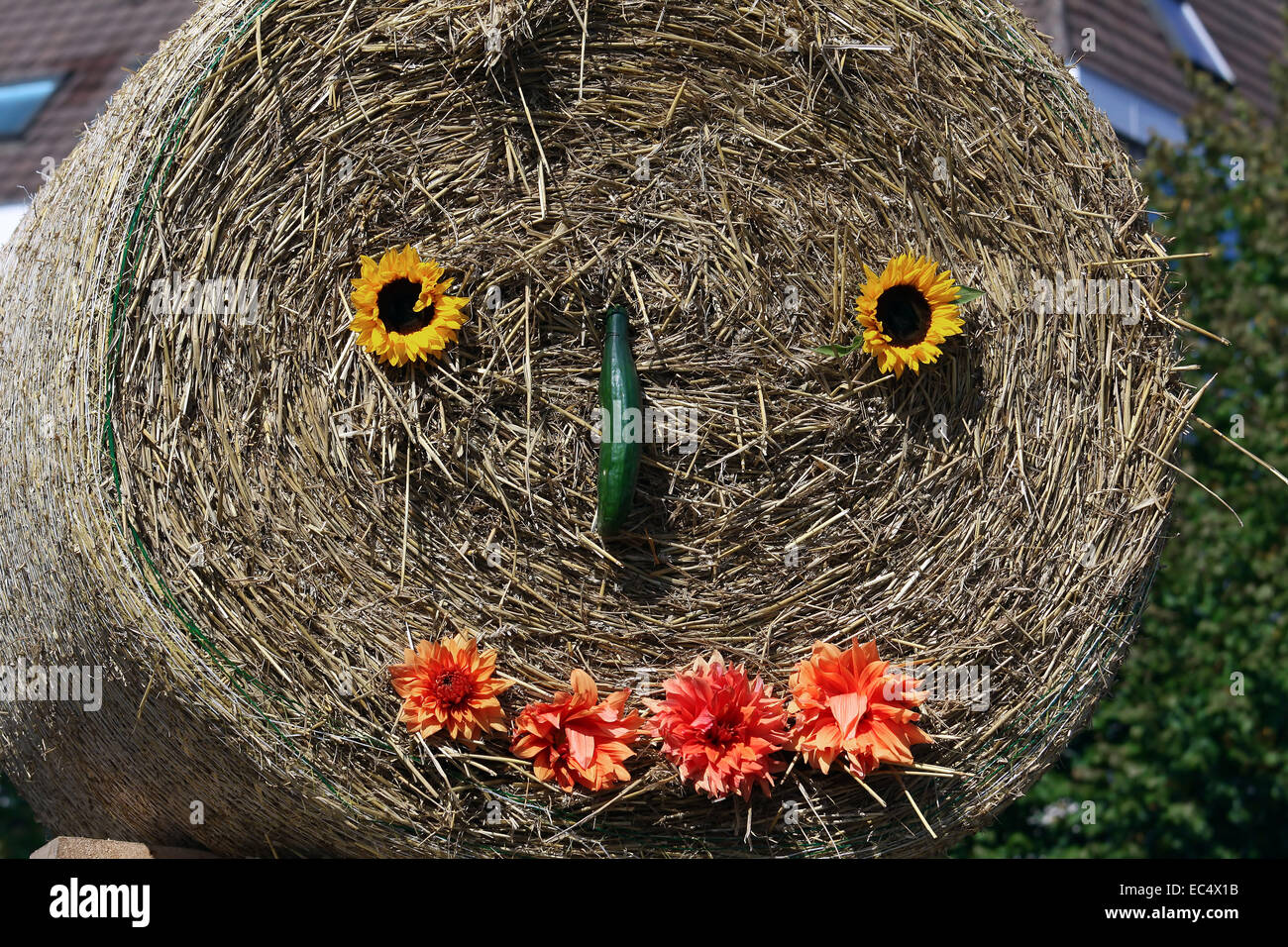 Special straw hi-res stock photography and images - Alamy