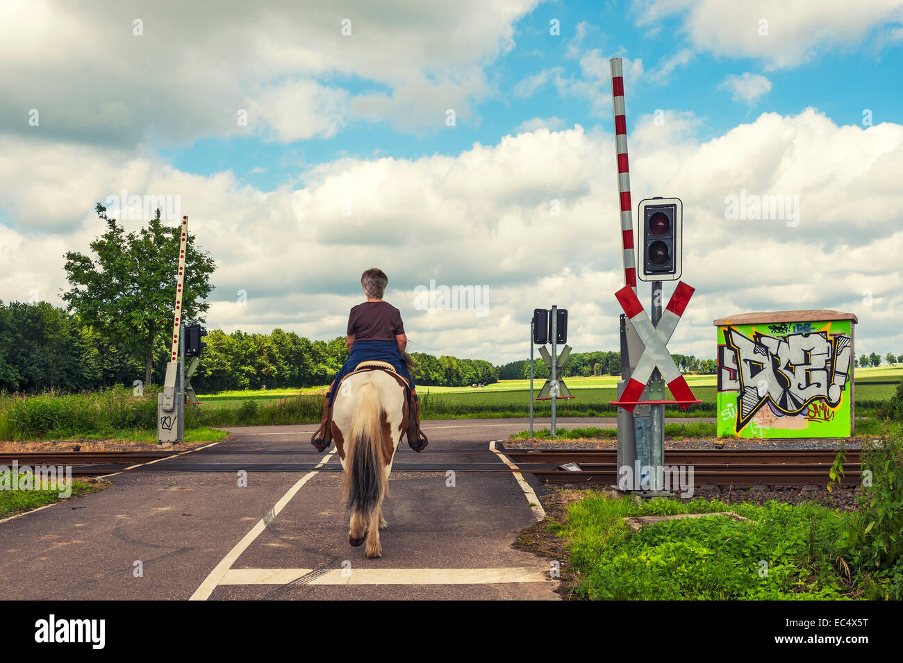 Horse railroad hi-res stock photography and images - Alamy