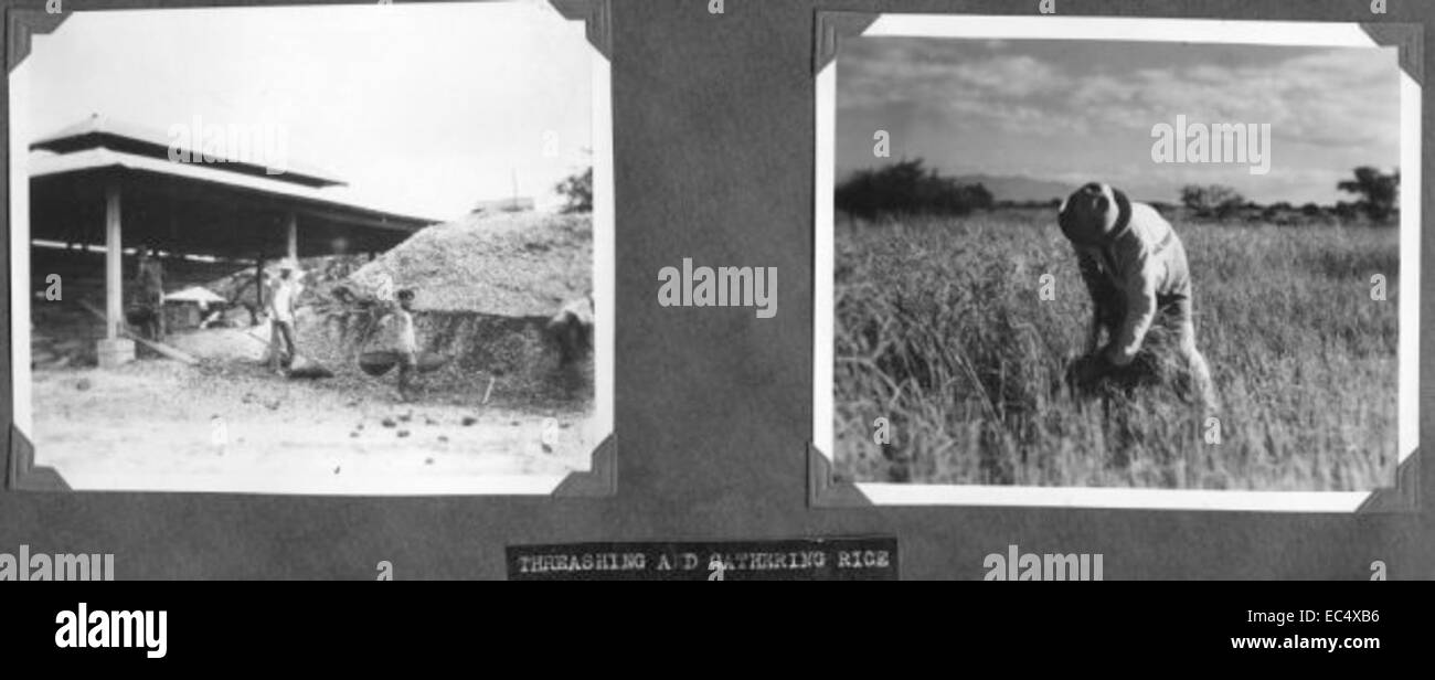 Highfill hi-res stock photography and images - Alamy