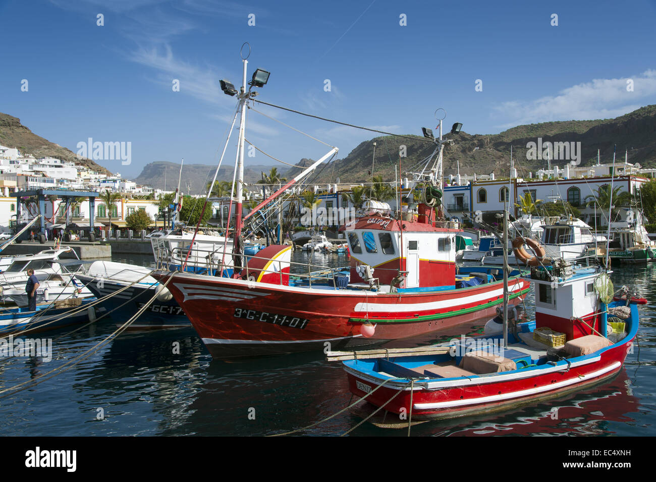 colorful fishing boats in the harbor of Puerto de Mogan Stock Photo - Alamy
