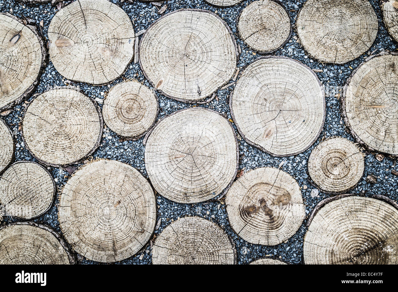 Pavement of Split and tree trunks Stock Photo - Alamy