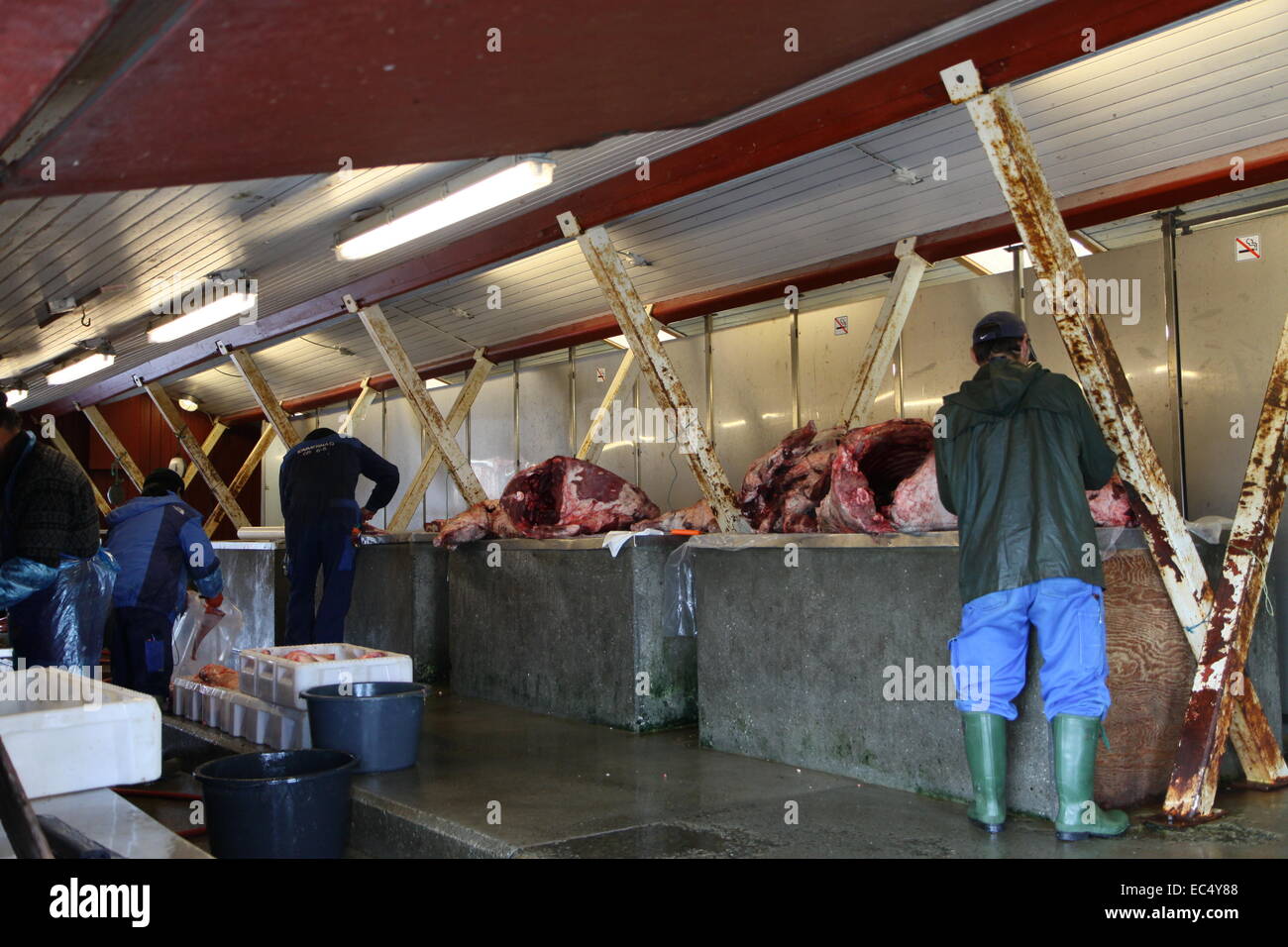 Whale meat greenland hi-res stock photography and images - Alamy