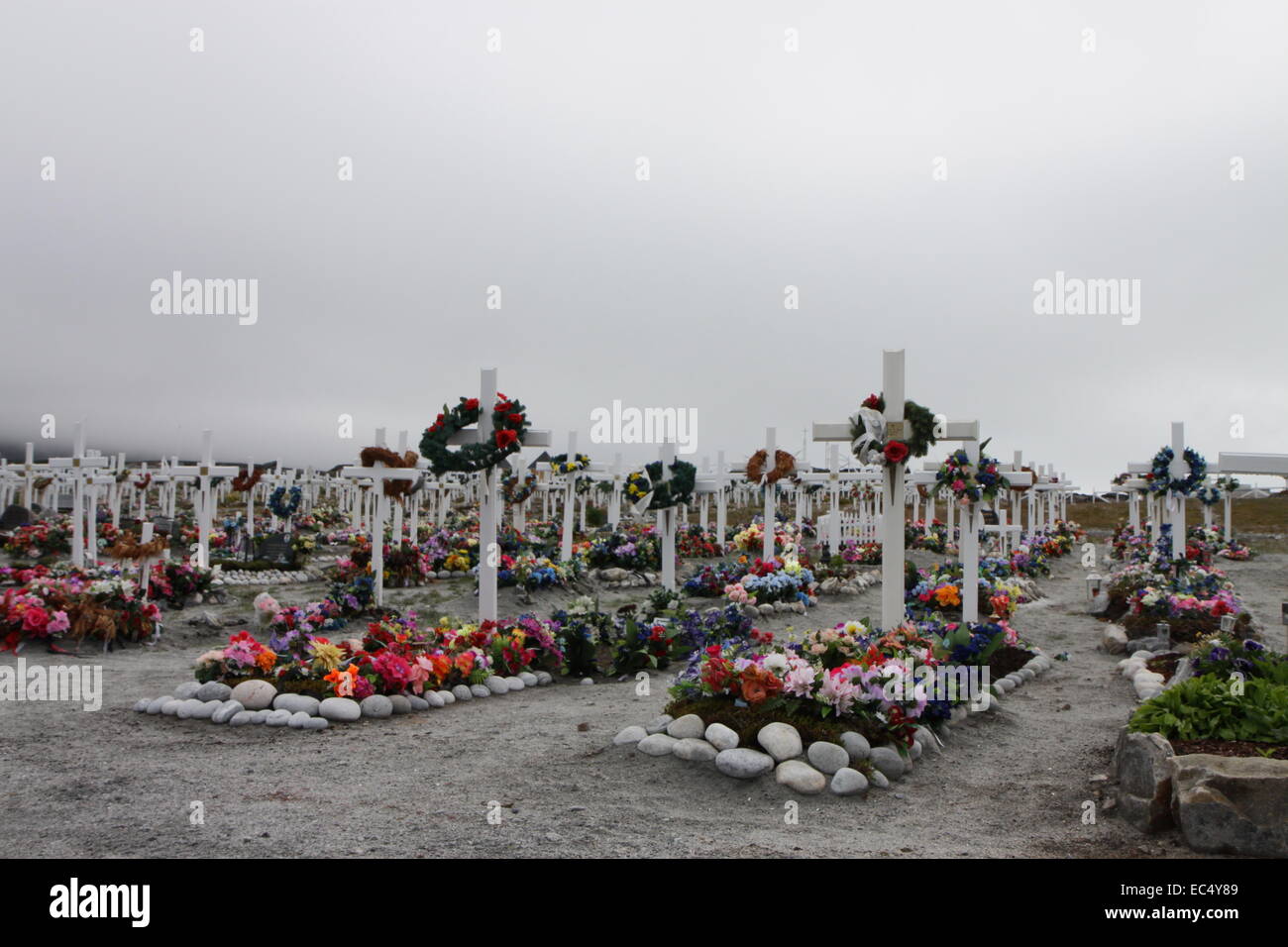 Bone yard hi-res stock photography and images - Alamy