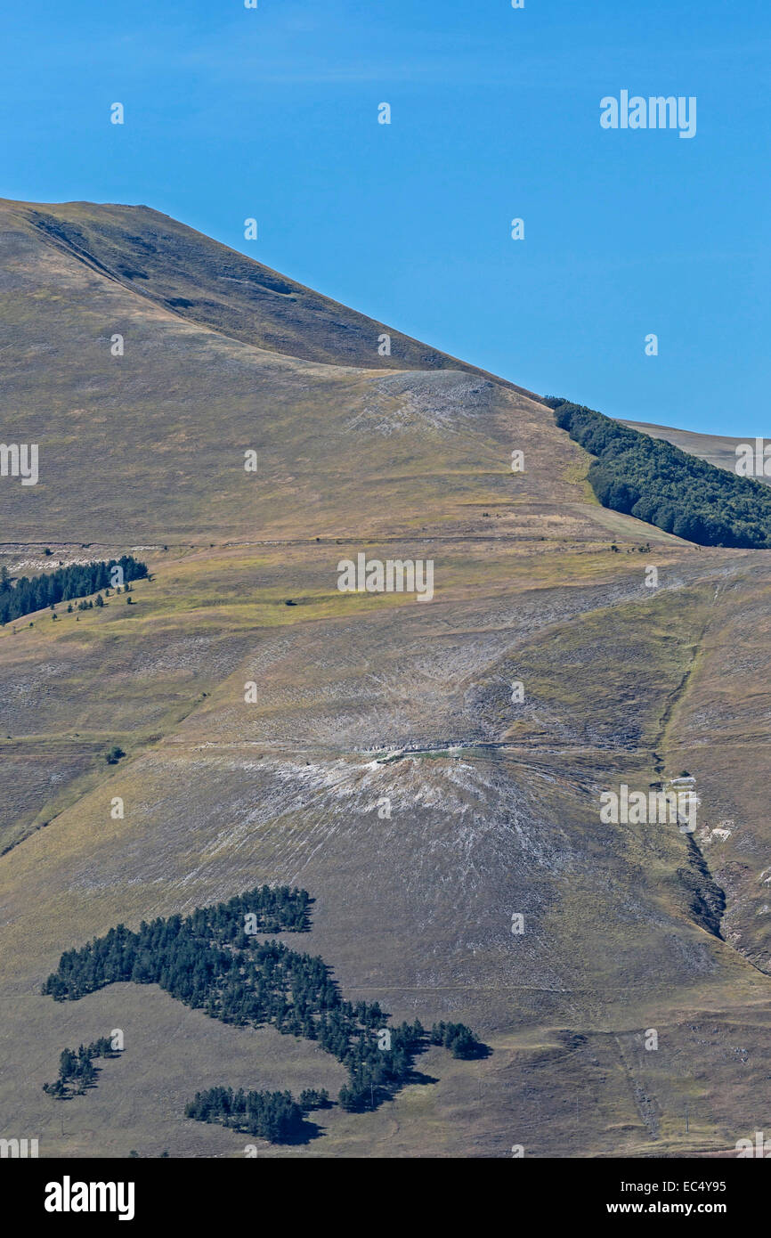 Planting of trees and shrubs copying the boot-shaped outline of the ...