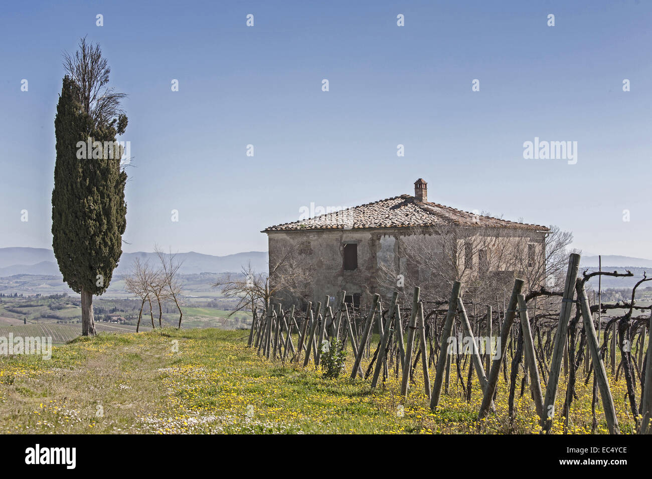 Tuscany farm homestead estate italy hi-res stock photography and images ...