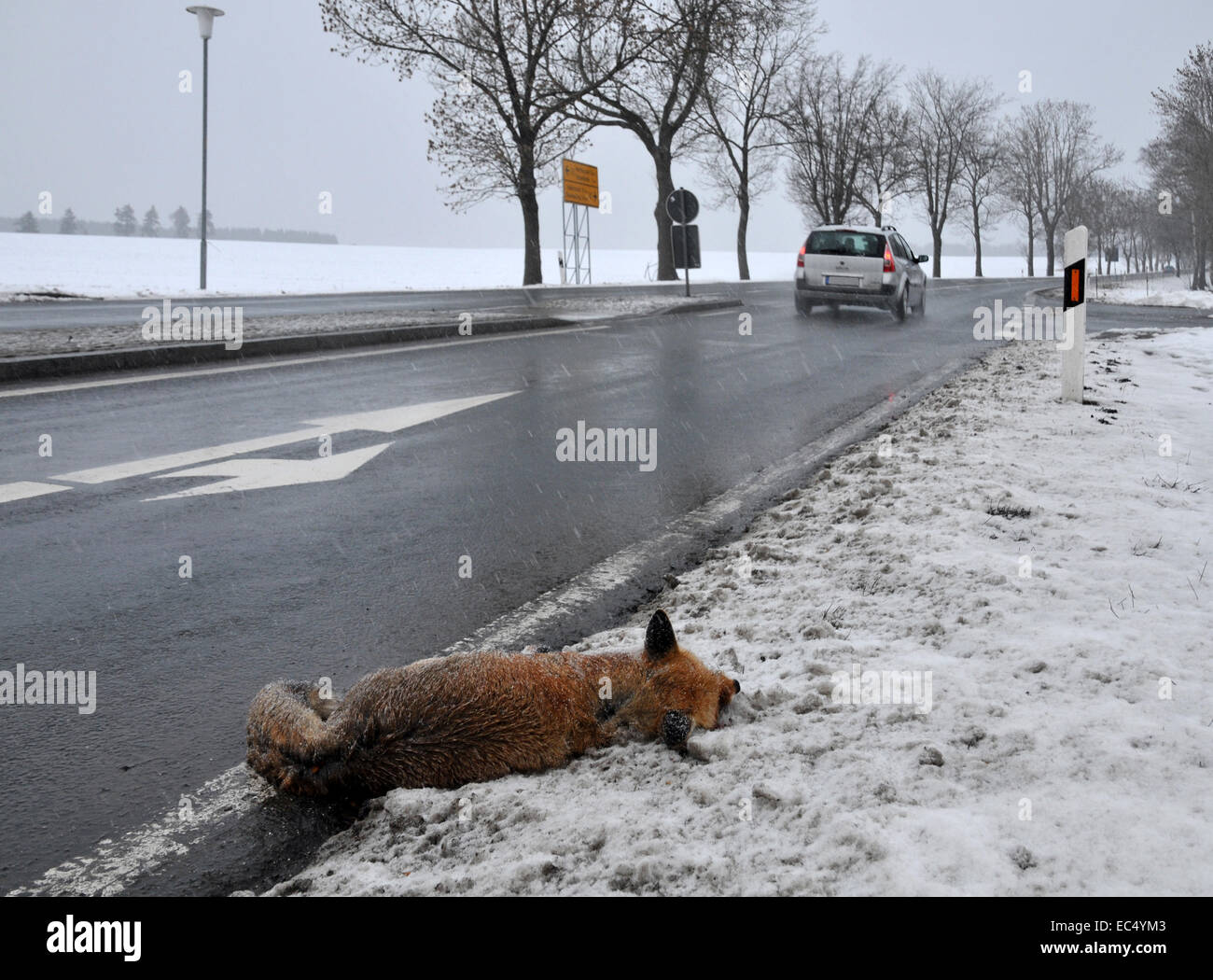 Fox cars hi-res stock photography and images - Alamy