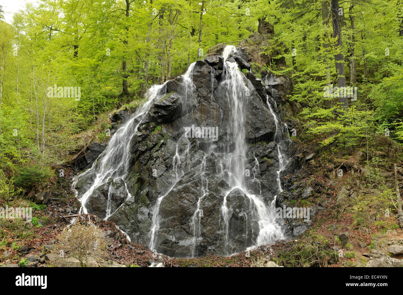 Radau waterfall harzburg hi-res stock photography and images - Alamy