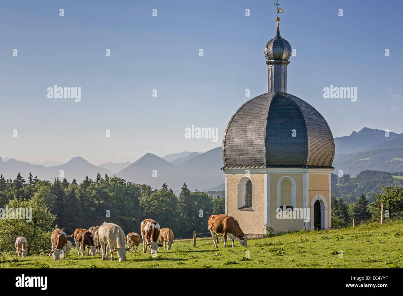 Baptistery of the pilgrimage church of St. Marinus and Anian Stock ...