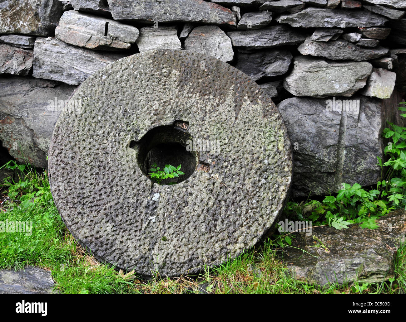 Grain to flour stone ground hi-res stock photography and images - Alamy