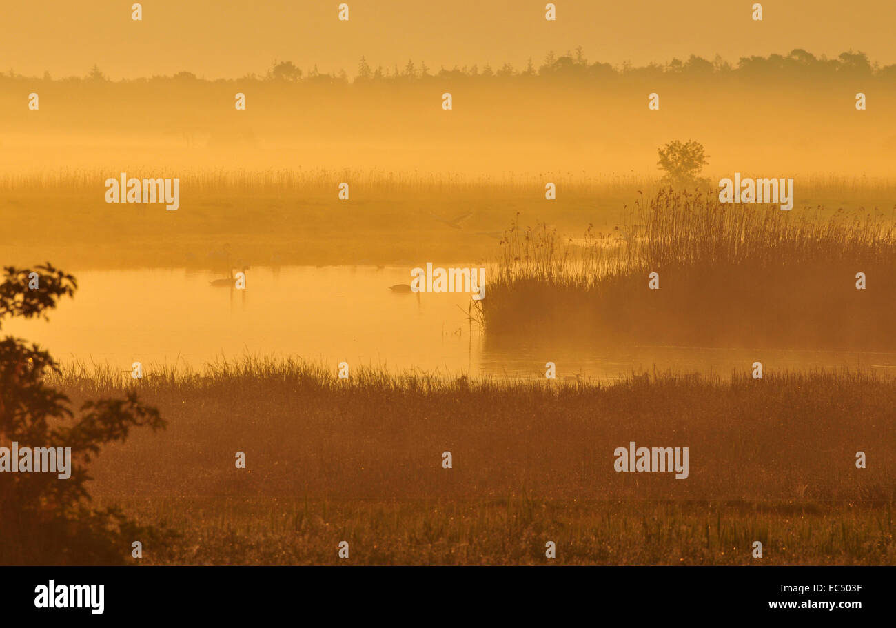 Fog is born hi-res stock photography and images - Alamy