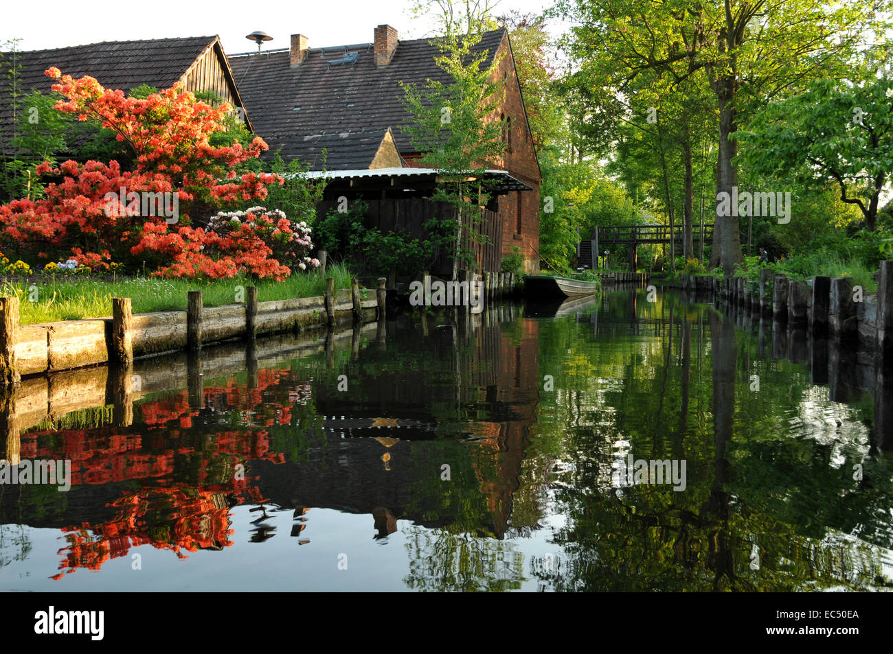 The spreewald in spring hi-res stock photography and images - Alamy