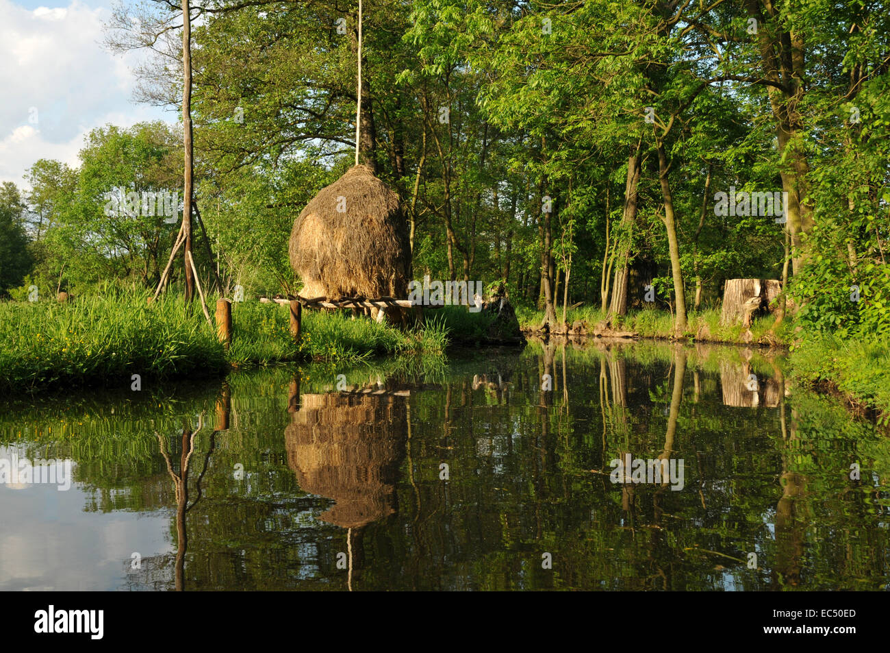 Lehde spreewald brandenburg germany hi-res stock photography and images ...