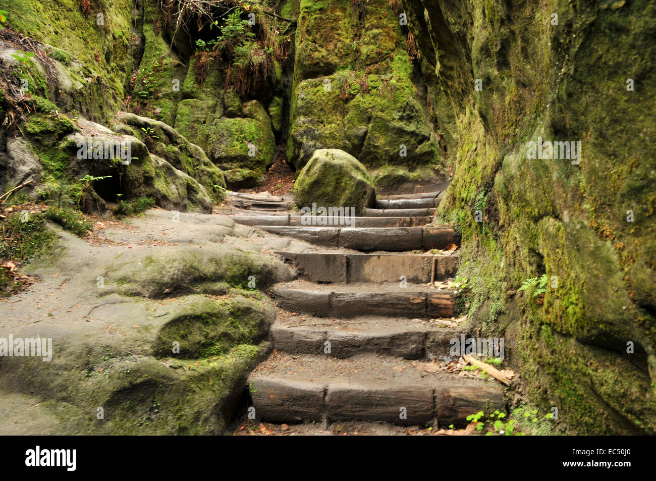 Stairs descent hi-res stock photography and images - Alamy