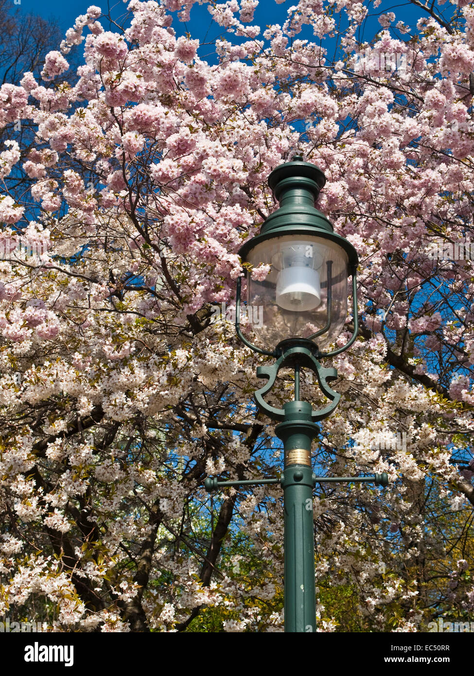 Spring at Interior Alster Lake, Hamburg, Germany Stock Photo - Alamy