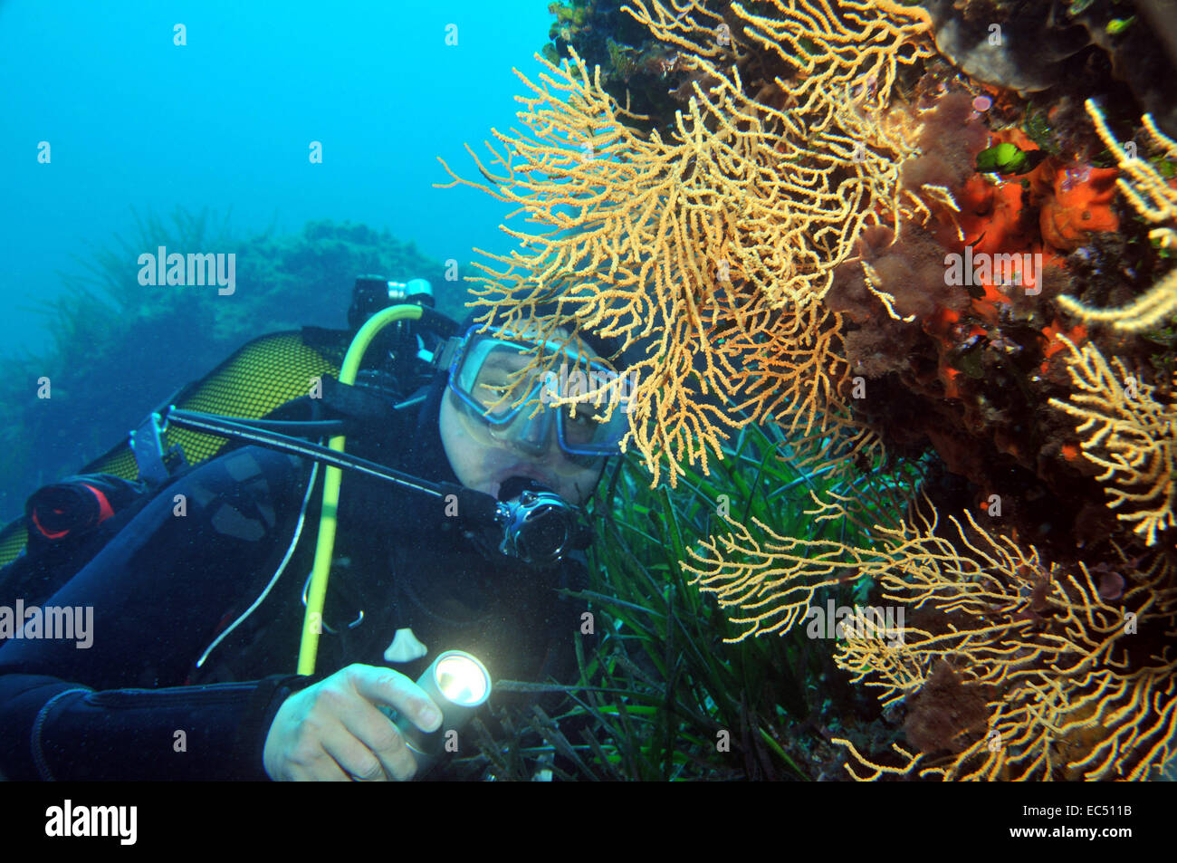 Divers at reef in the mediterranean sea hi-res stock photography and ...