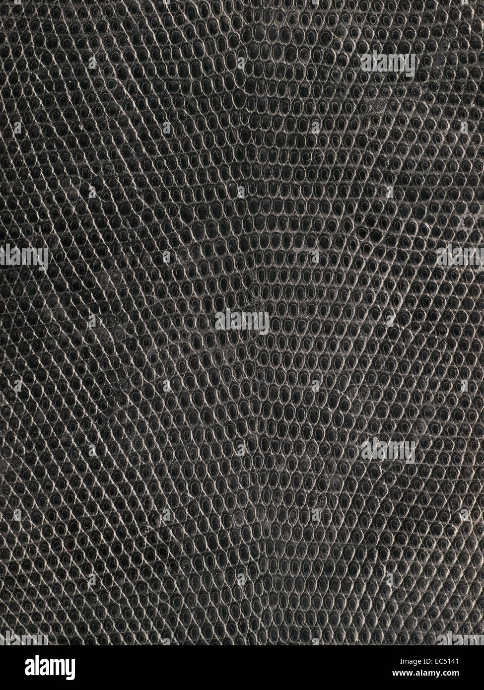 Reptiles symbols hi-res stock photography and images - Alamy