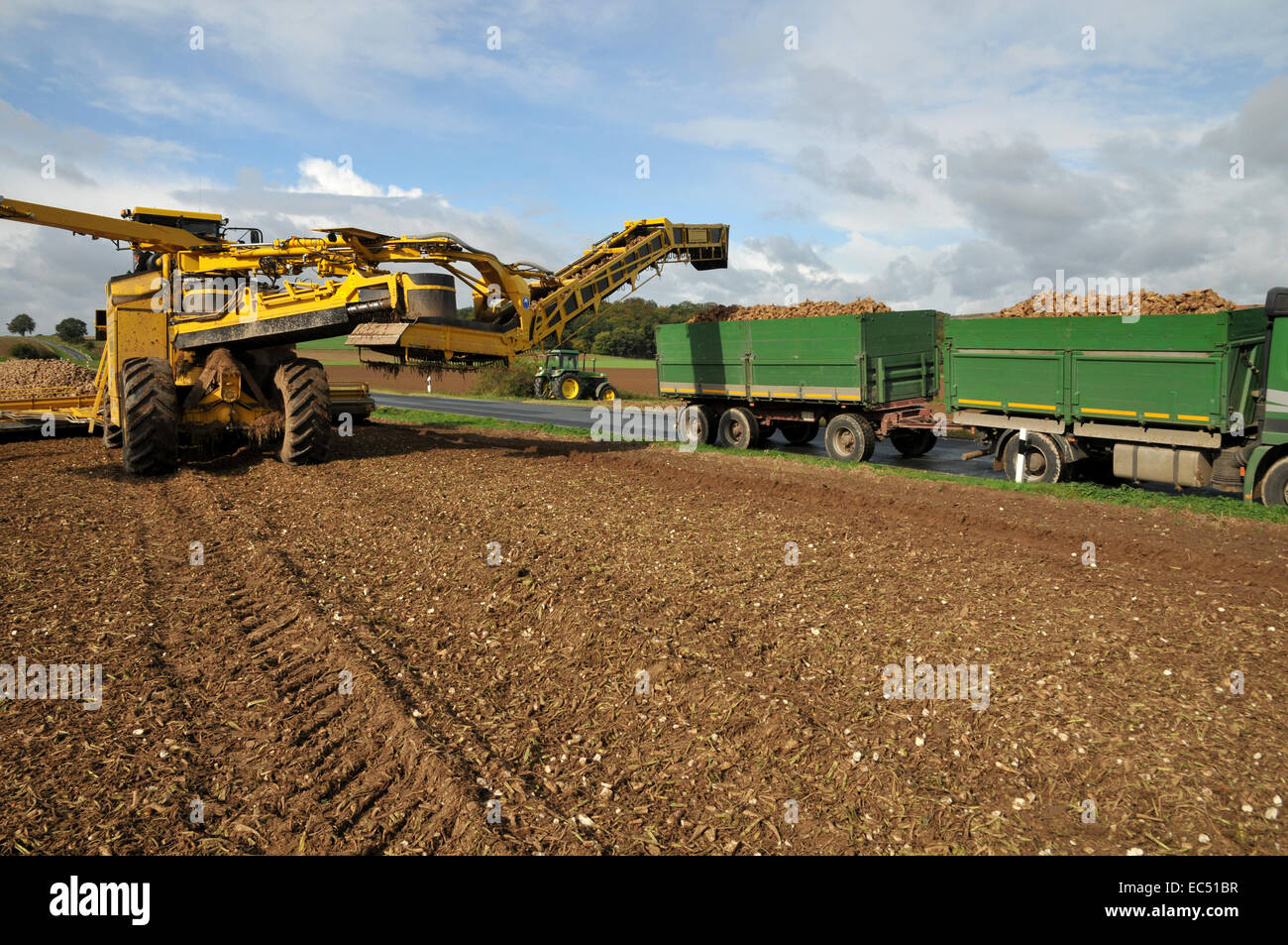 Beet cleaner loader hi-res stock photography and images - Alamy