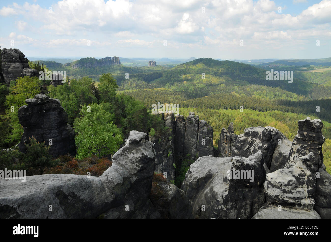 Sand monkey hi-res stock photography and images - Alamy