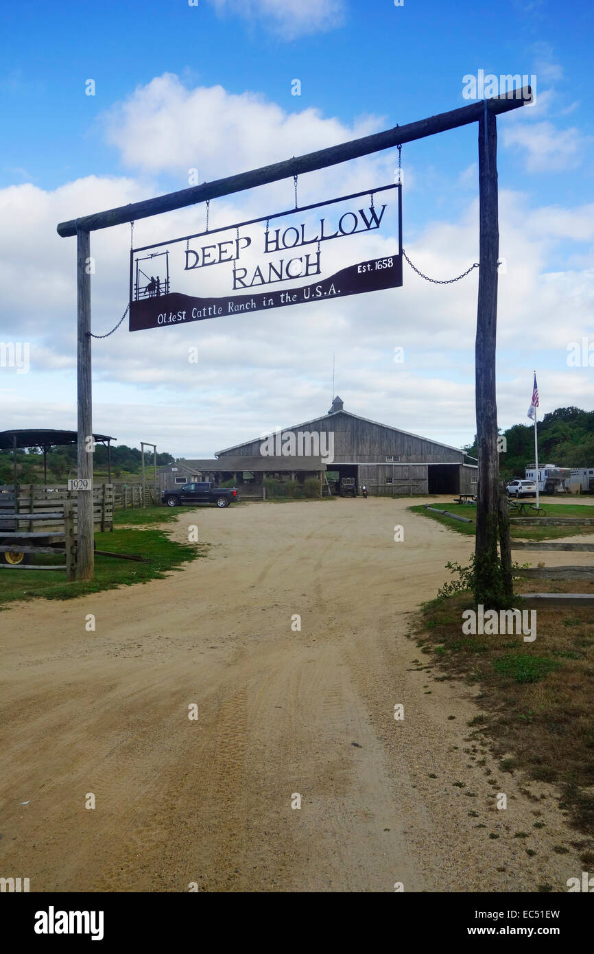 deep hollow ranch in Montauk Stock Photo - Alamy
