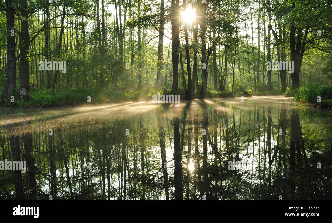 Morning mood mixed hi-res stock photography and images - Alamy