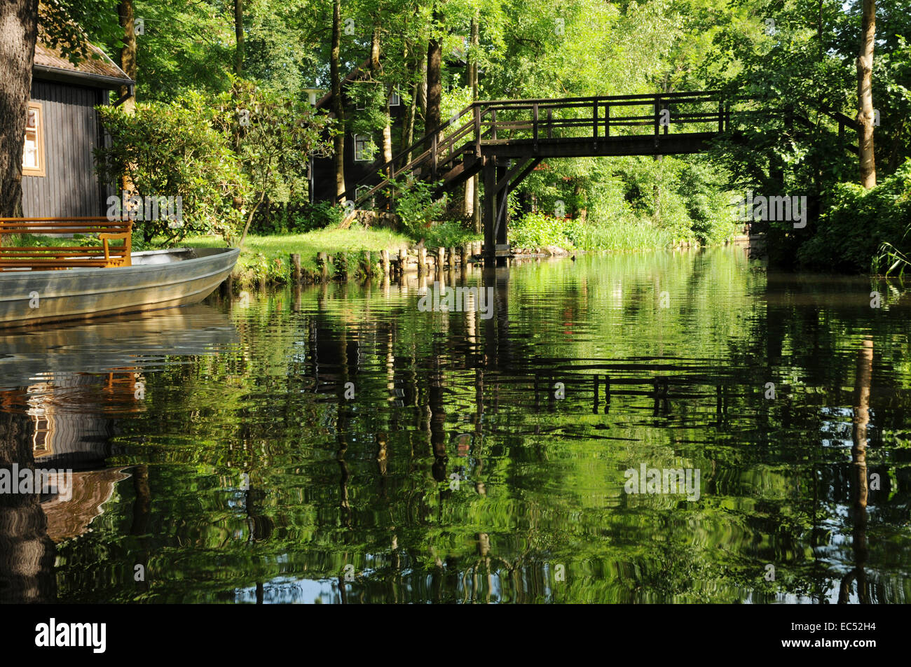 Spree forest idyll Stock Photo - Alamy