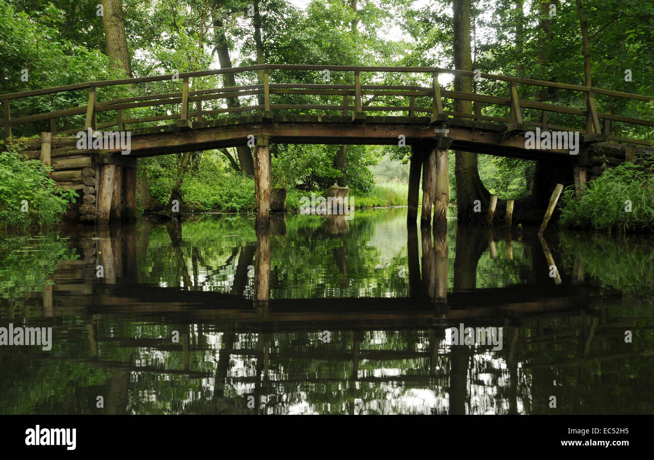 Plants trees under bridge architecture hi-res stock photography and ...