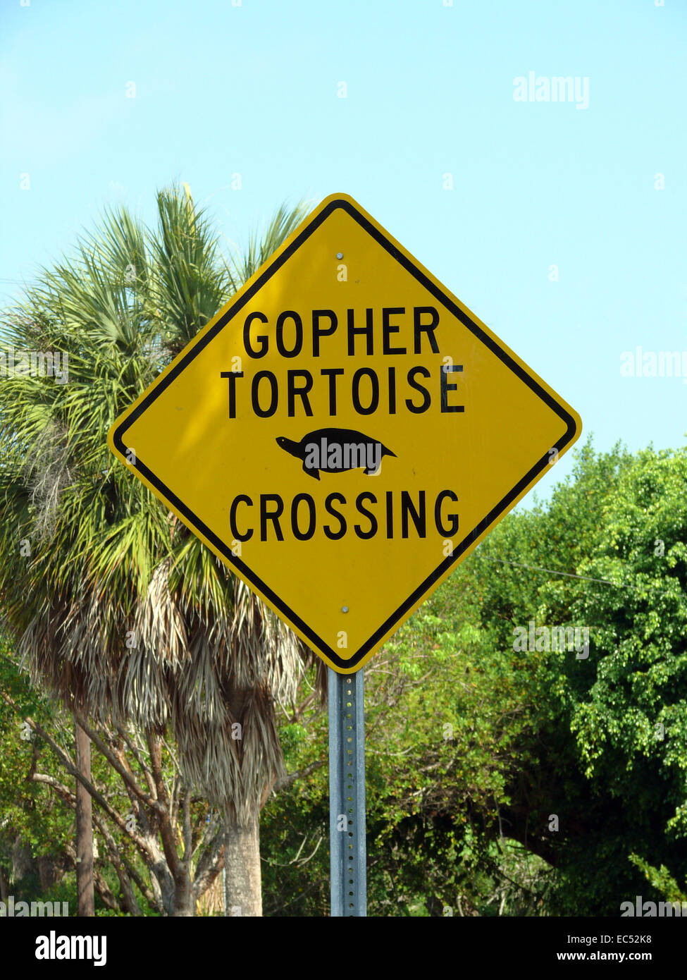 Gopher tortoise crossing sign hi-res stock photography and images - Alamy