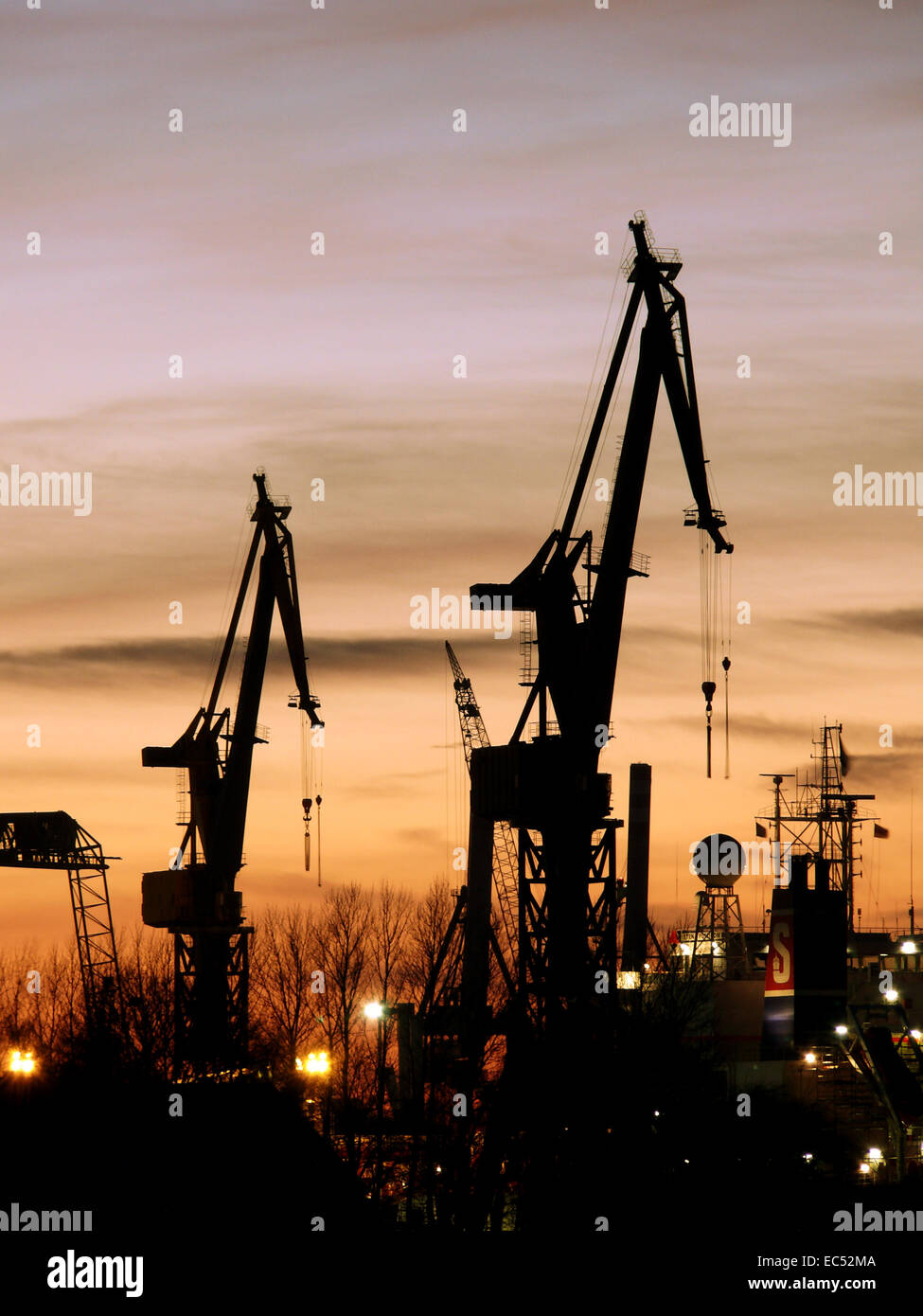 Cranes at sunset Stock Photo - Alamy