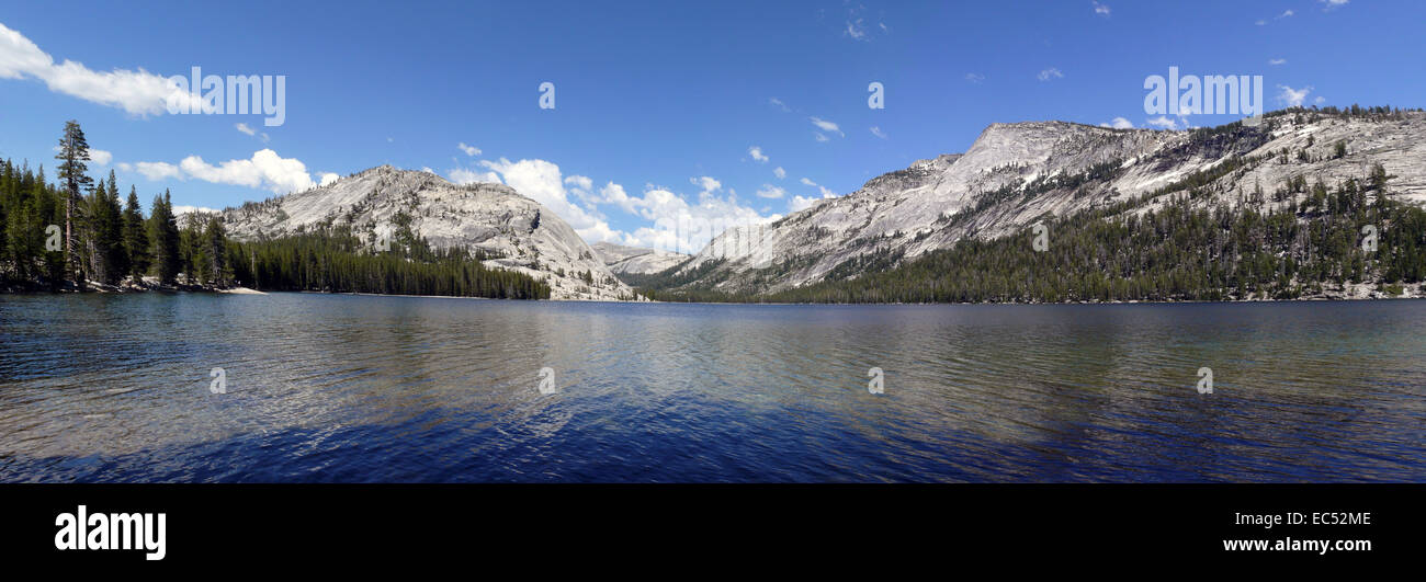 Montane forest yosemite hi-res stock photography and images - Alamy