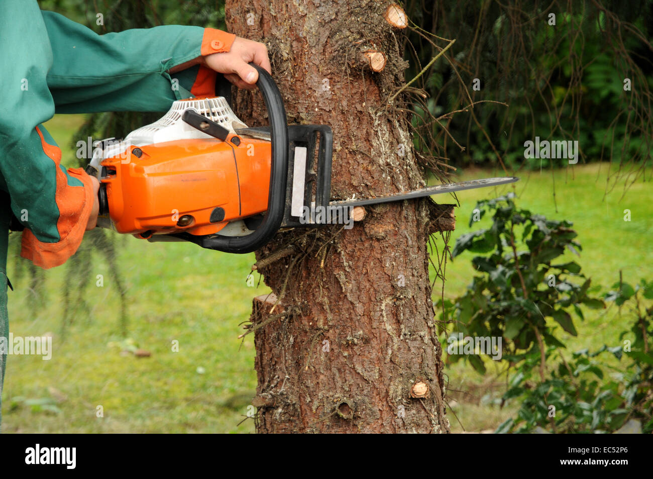 Hand felling hi-res stock photography and images - Alamy