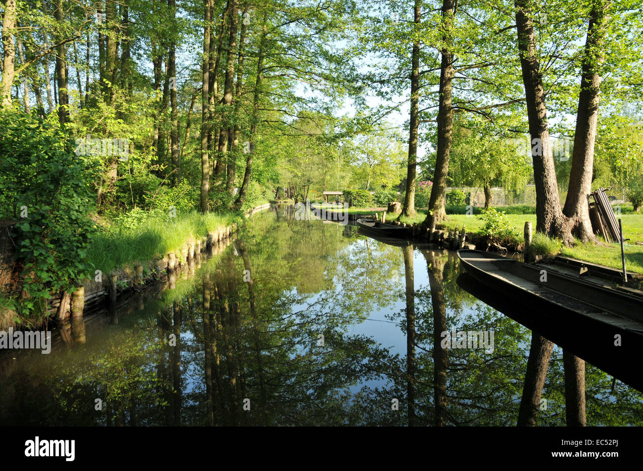 Channel in the Spree forest Stock Photo - Alamy