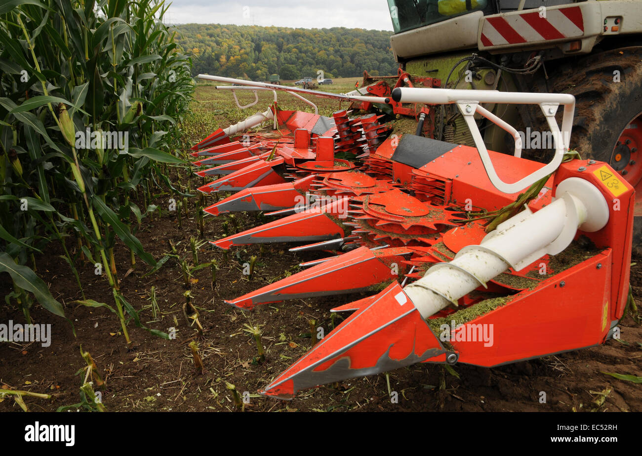 Tractor silage corn hi-res stock photography and images - Alamy