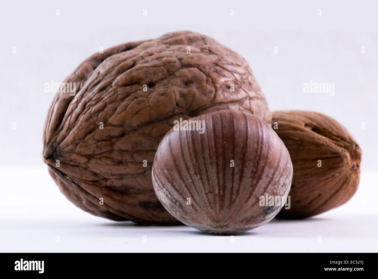 Macro nuts hi-res stock photography and images - Alamy