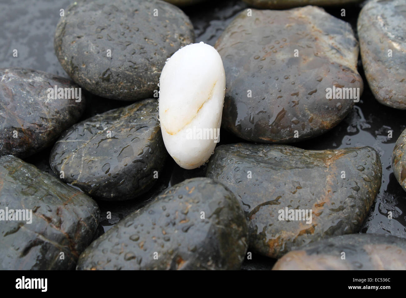 Pebbles in the rain Stock Photo - Alamy