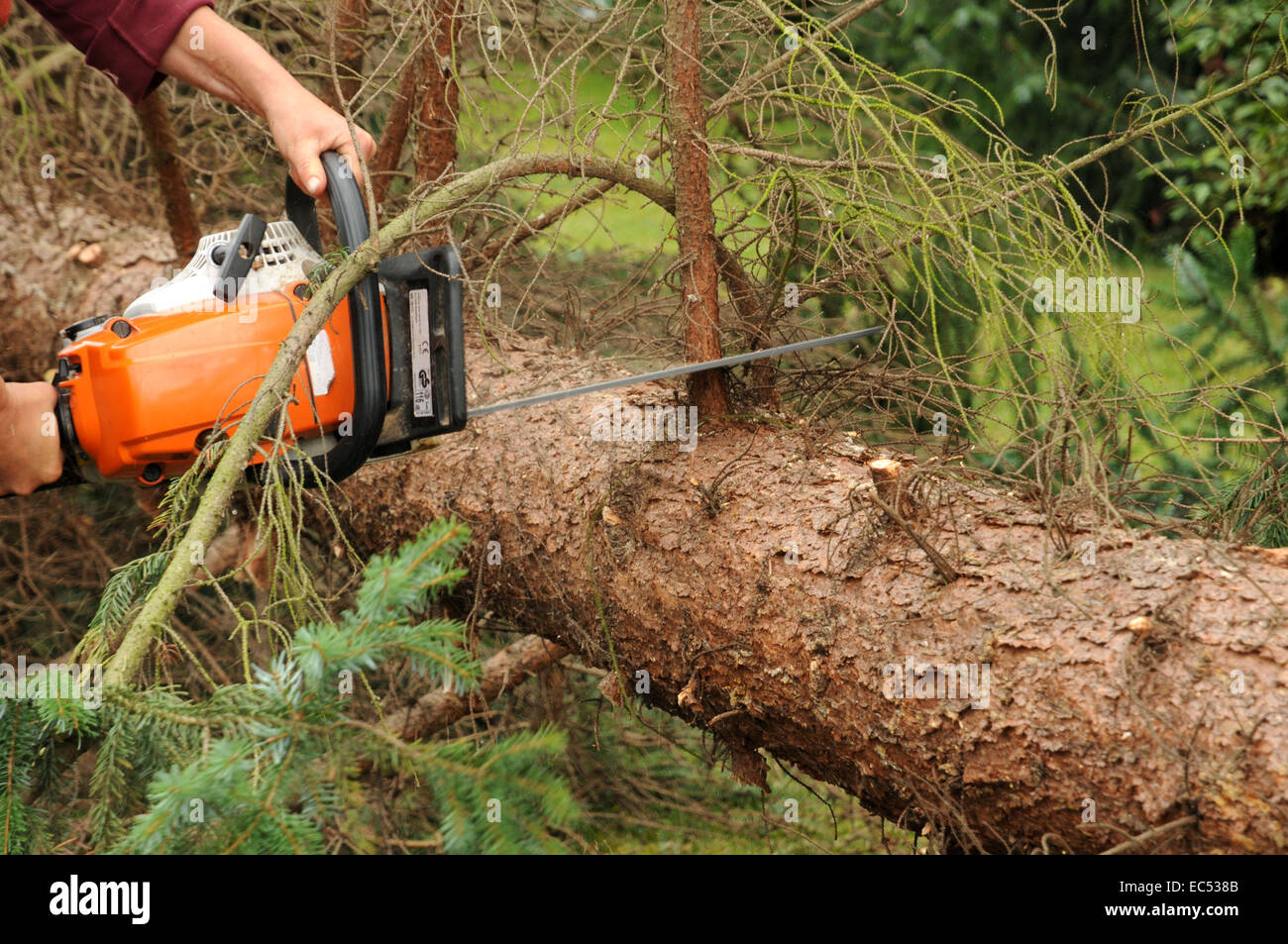Hand Felling High Resolution Stock Photography and Images - Alamy