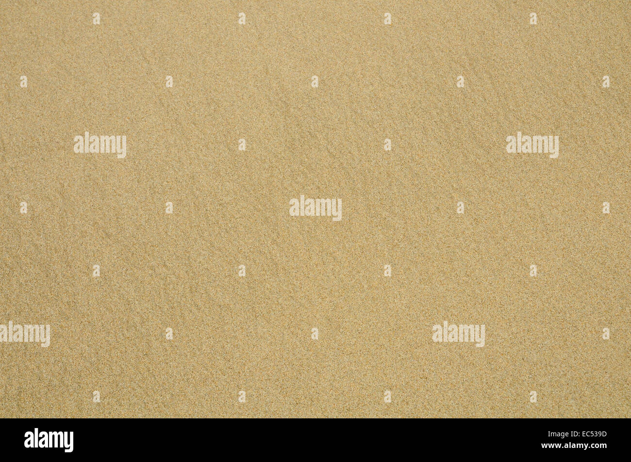 Shape of the sand grains hi-res stock photography and images - Alamy