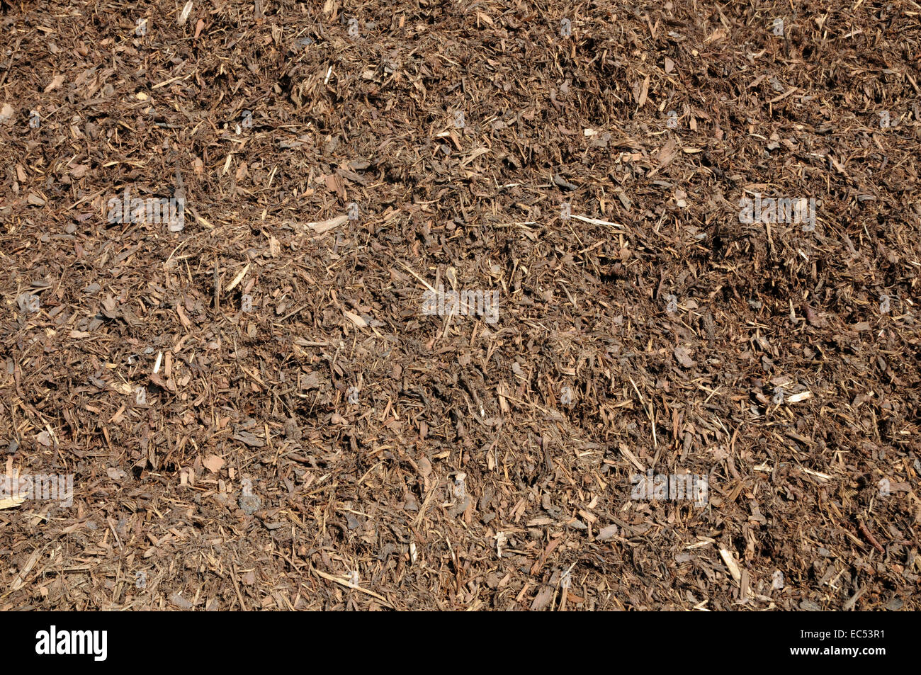 Bark Mulch Stock Photos & Bark Mulch Stock Images - Alamy