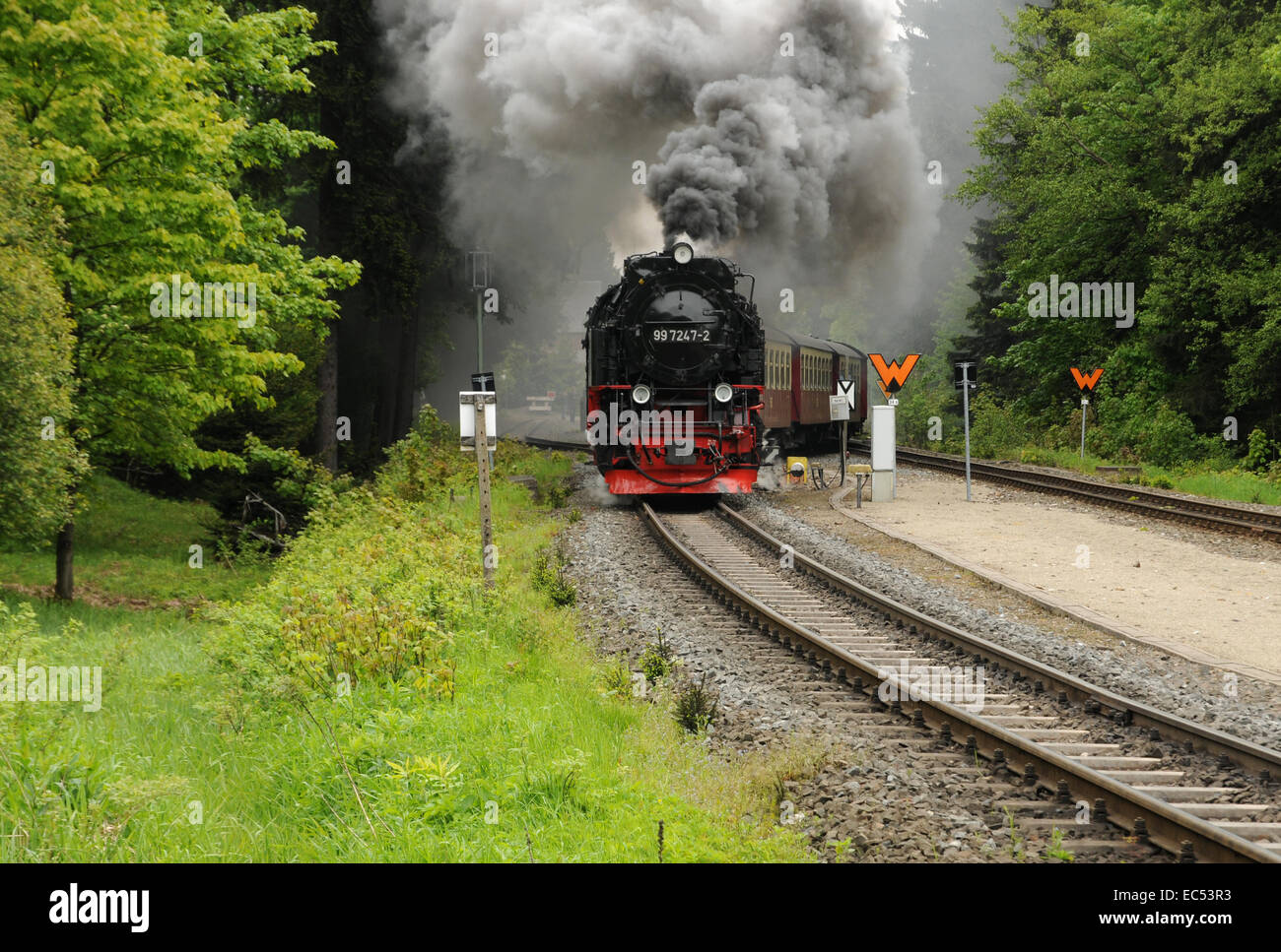 Harz Narrow Gauge Railway Stock Photo - Alamy