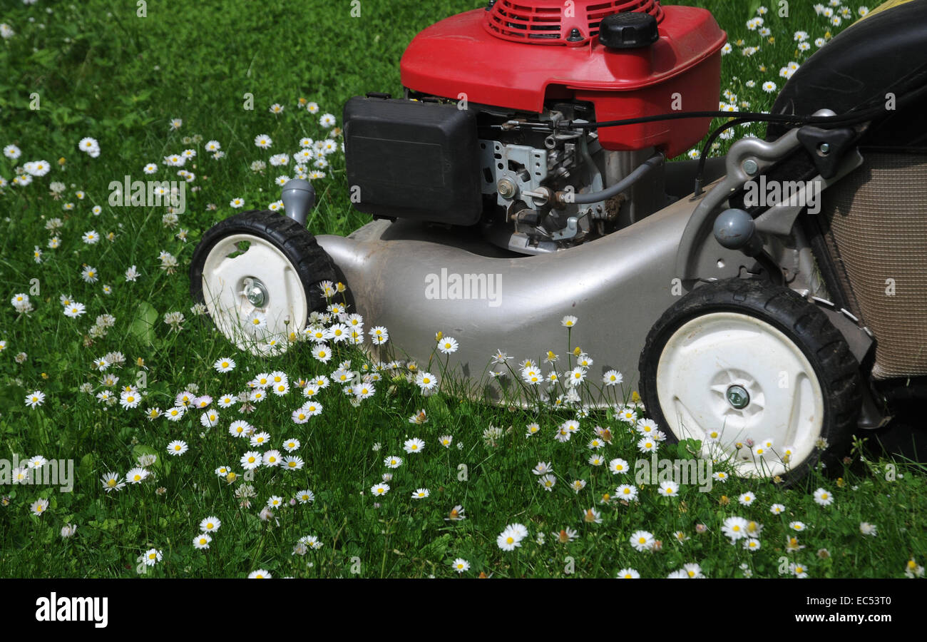 Grass cutters hi-res stock photography and images - Alamy