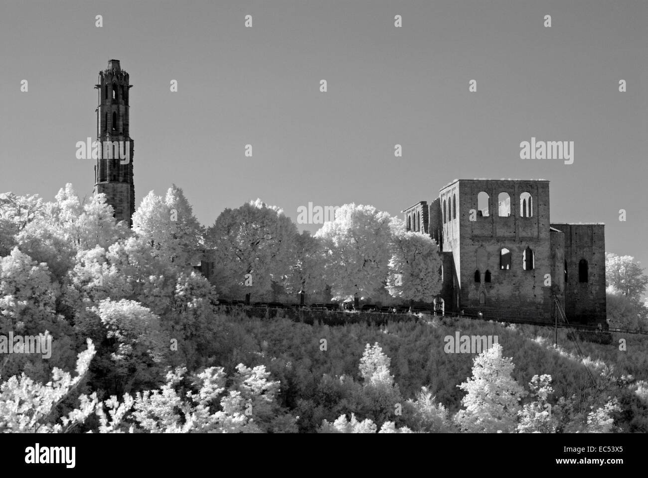 Ruined monastery Limburg, Bad Duerkheim, Rhineland Palatinate, Germany ...