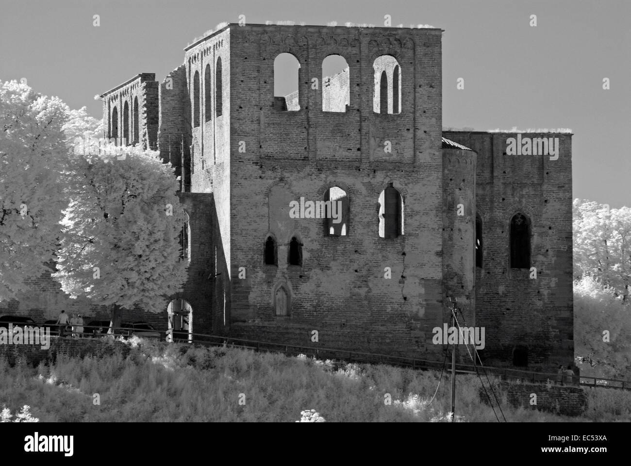 Ruined monastery Limburg, Bad Duerkheim, Rhineland Palatinate, Germany ...