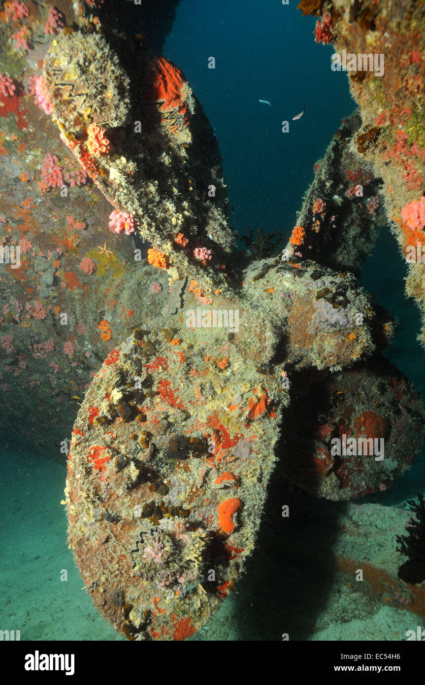 Ship screw hi-res stock photography and images - Alamy