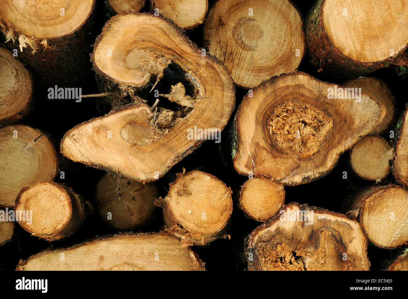 Red staining hi-res stock photography and images - Alamy