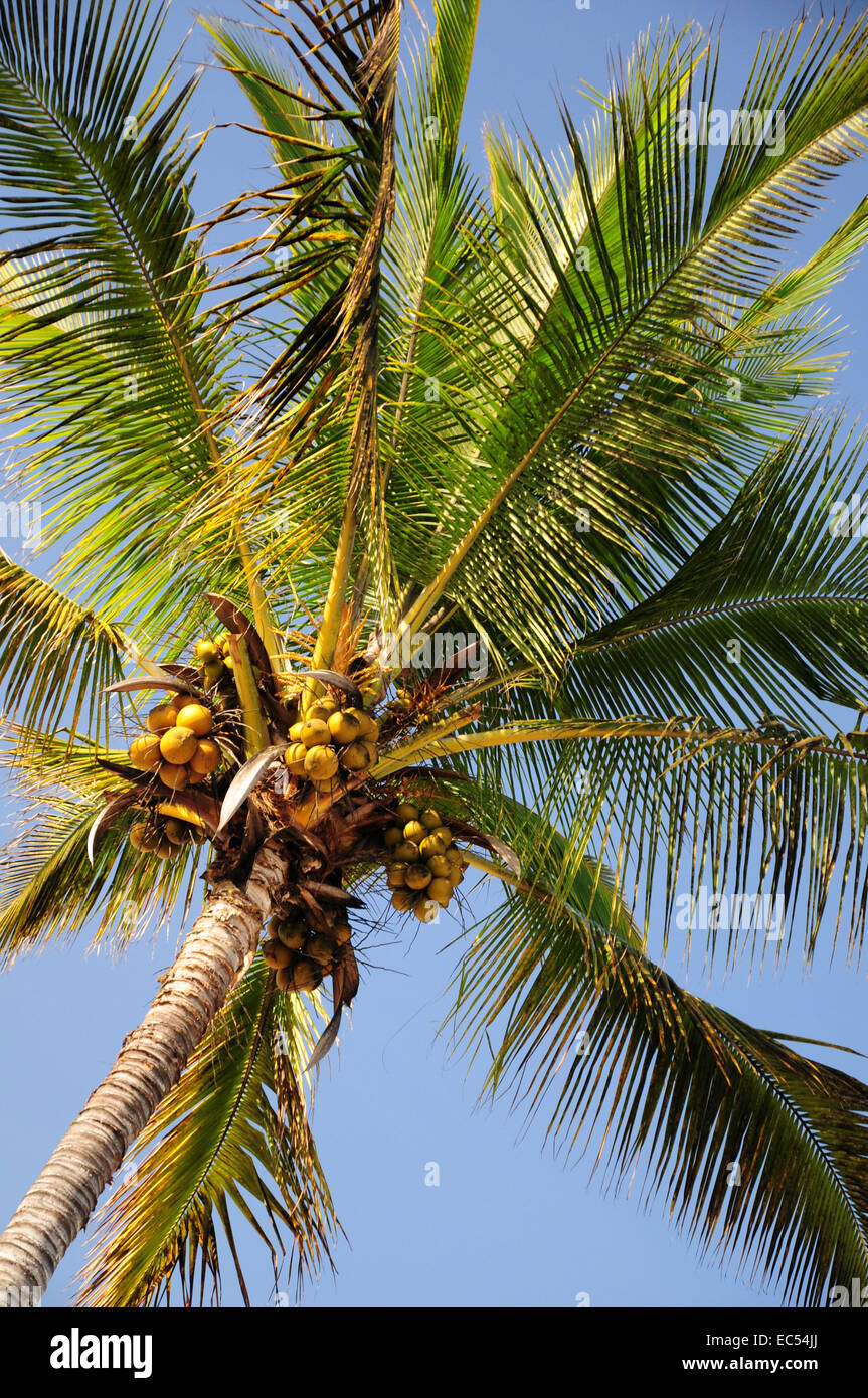 Philippines and ecuador hi-res stock photography and images - Alamy