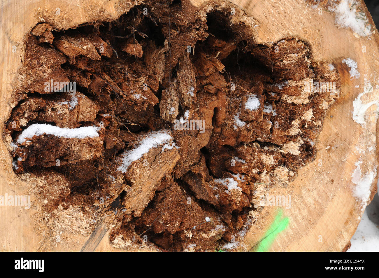 Red staining hi-res stock photography and images - Alamy