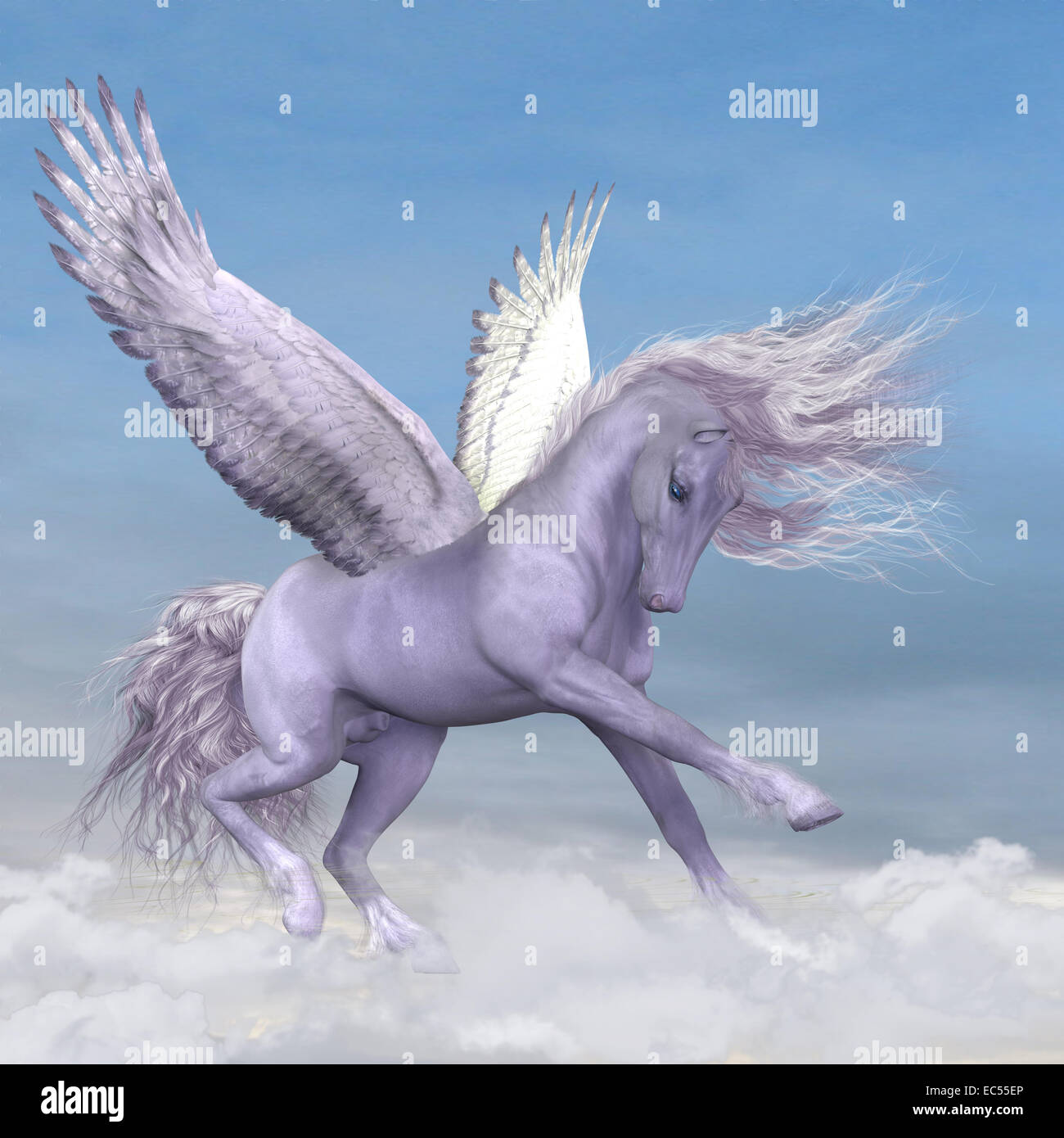 Real White Pegasus