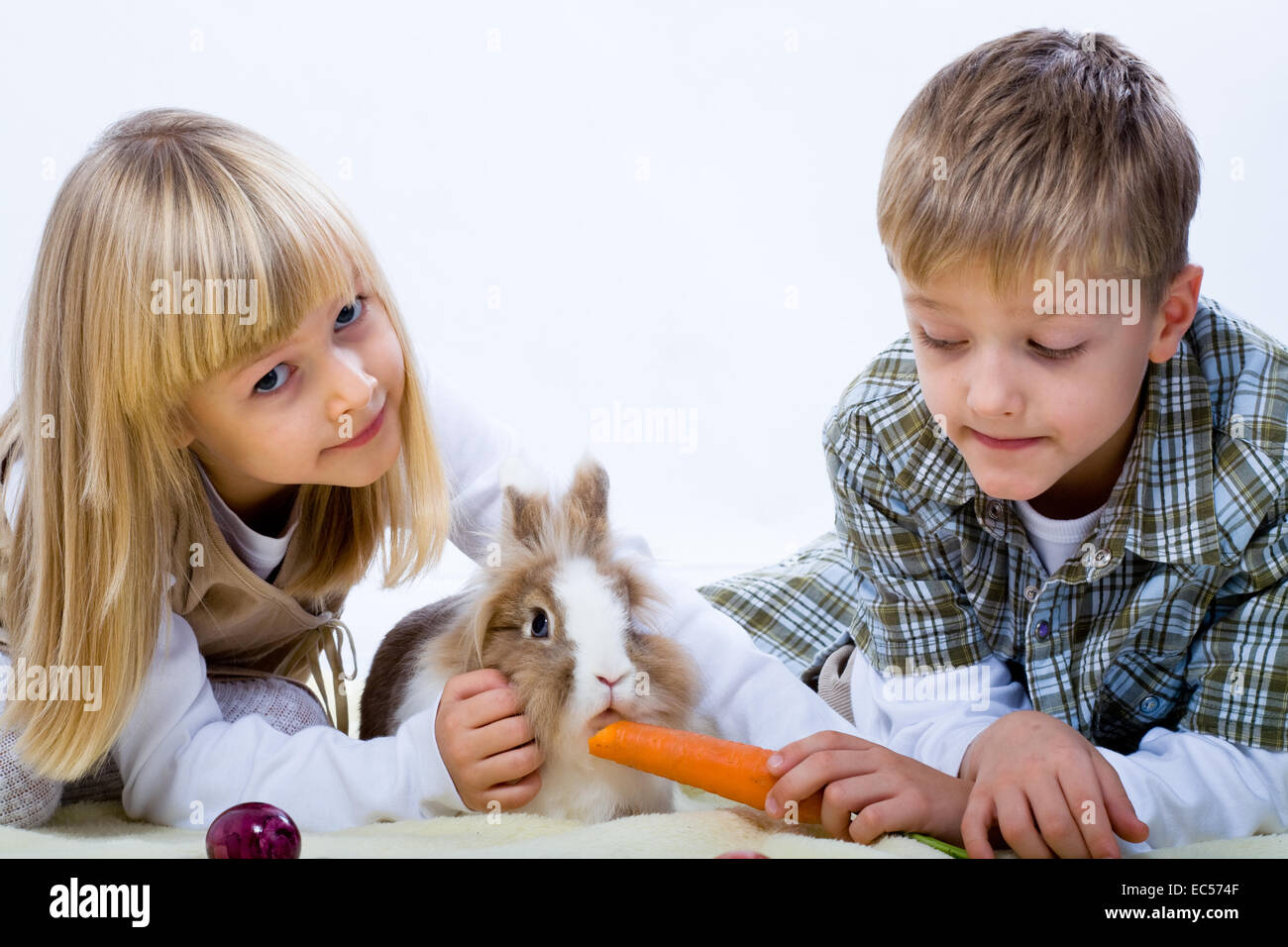 kids and a eastern rabbit Stock Photo - Alamy