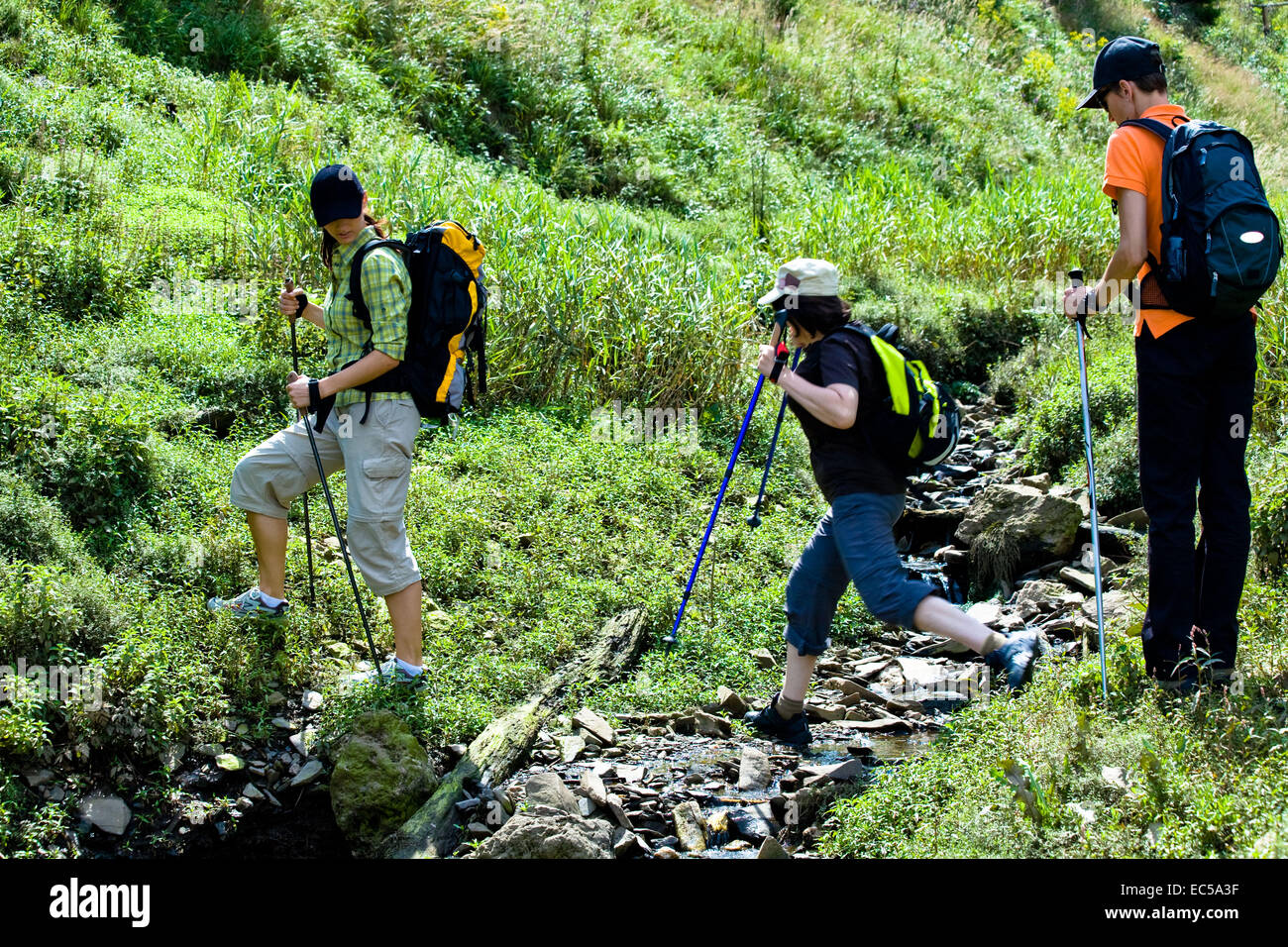 Scenes of hiking in the wild Stock Photo - Alamy