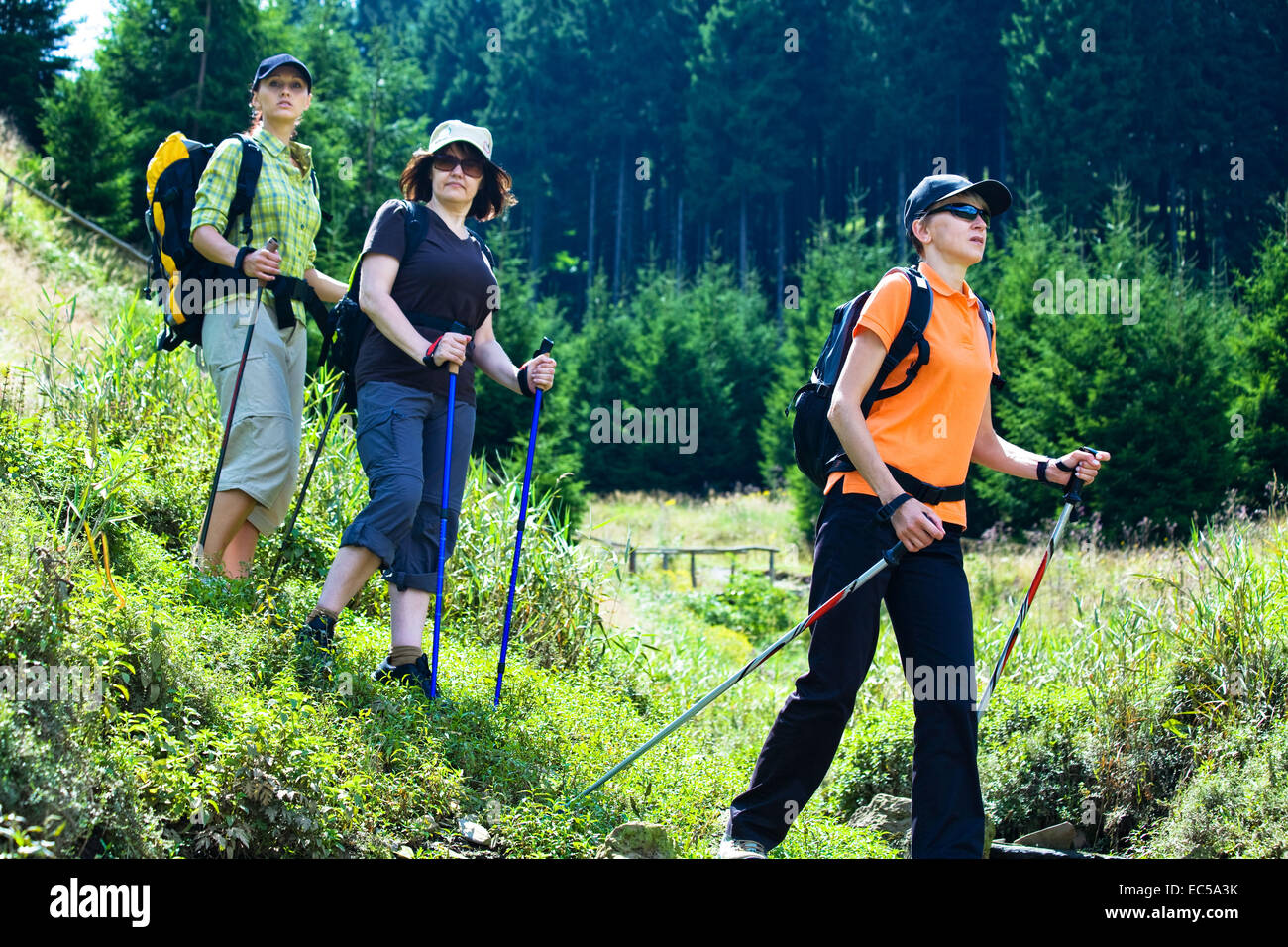 Scenes of hiking in the wild Stock Photo - Alamy