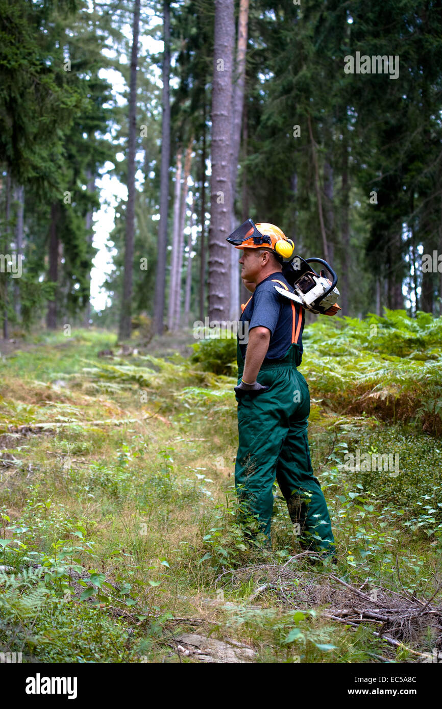 a woodcutter at work in the forest Stock Photo - Alamy
